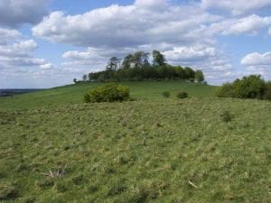 Long Wittenham – Berkshire Family History Society